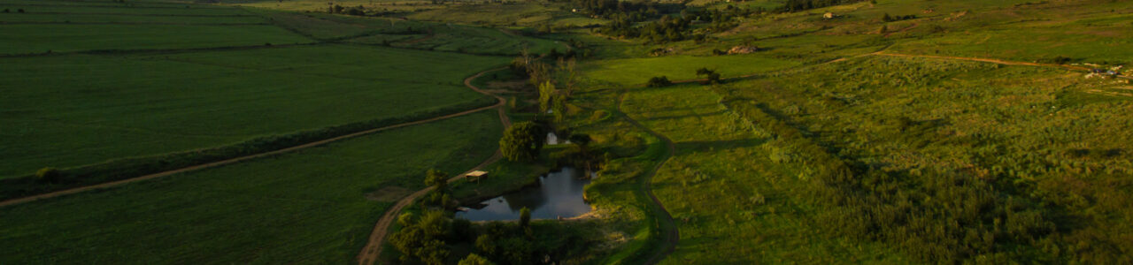 JODEV Farms - Teak Place